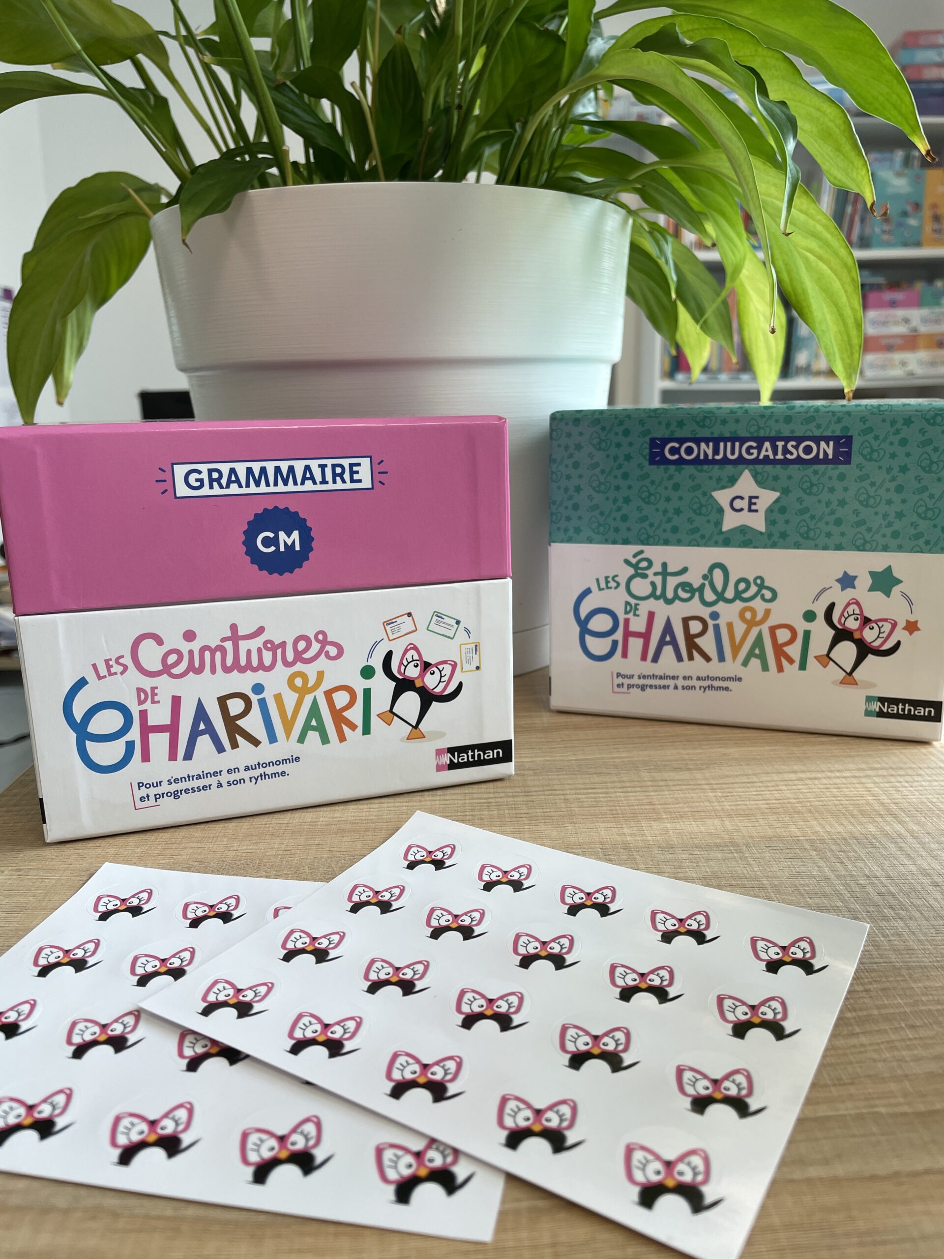 Le lexique du livre : leçon à manipuler - Charivari à l'école